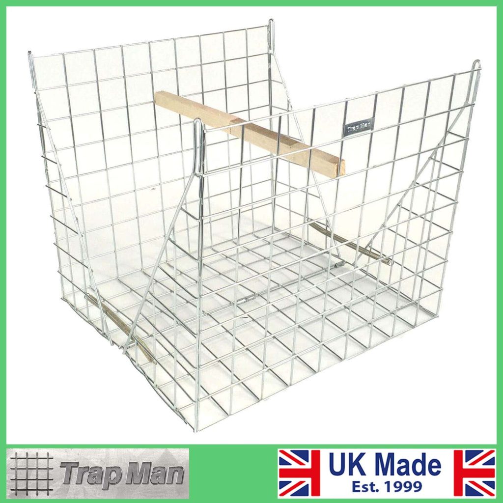 The TrapMan clam Larsen trap suited to magpies