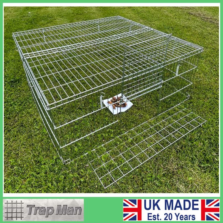 TrapMan Feral Cat drop trap Drop traps allow you to catch multiple cats ...