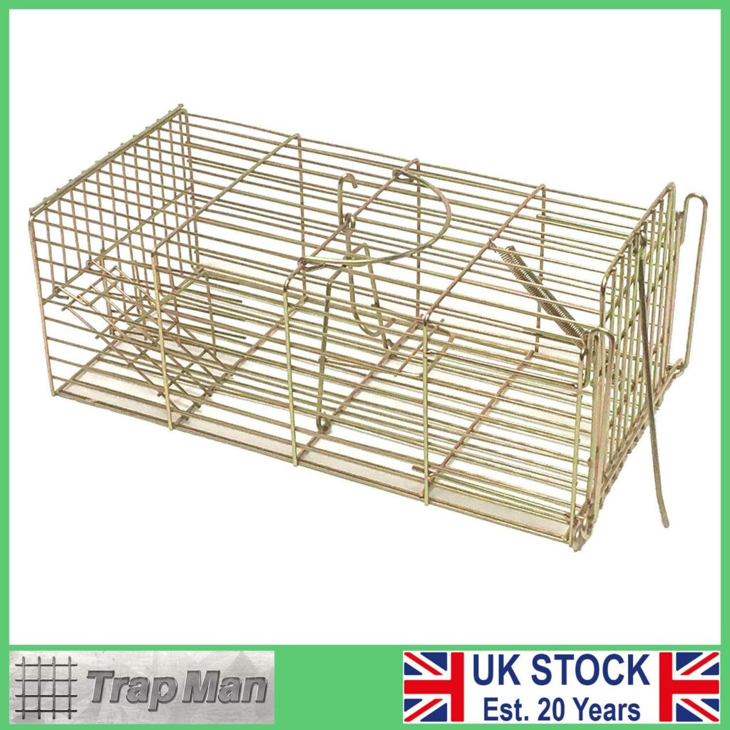 Catch a rat with a humane rat trap Proven to be an effective solution ...