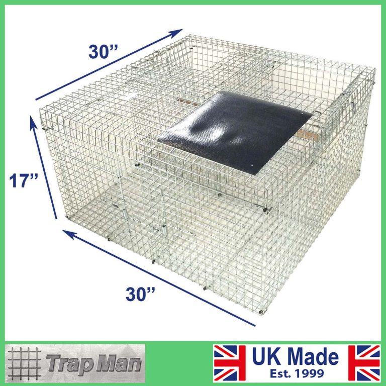 How to catch crows and magpies legally using a top entry twin capture ...