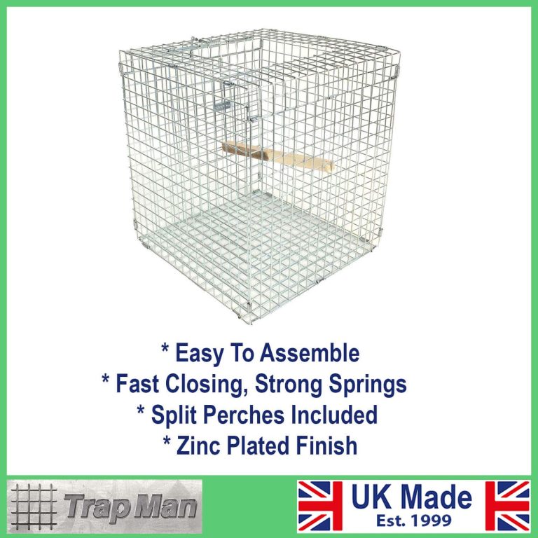 How to catch crows and magpies legally using a top entry twin capture ...