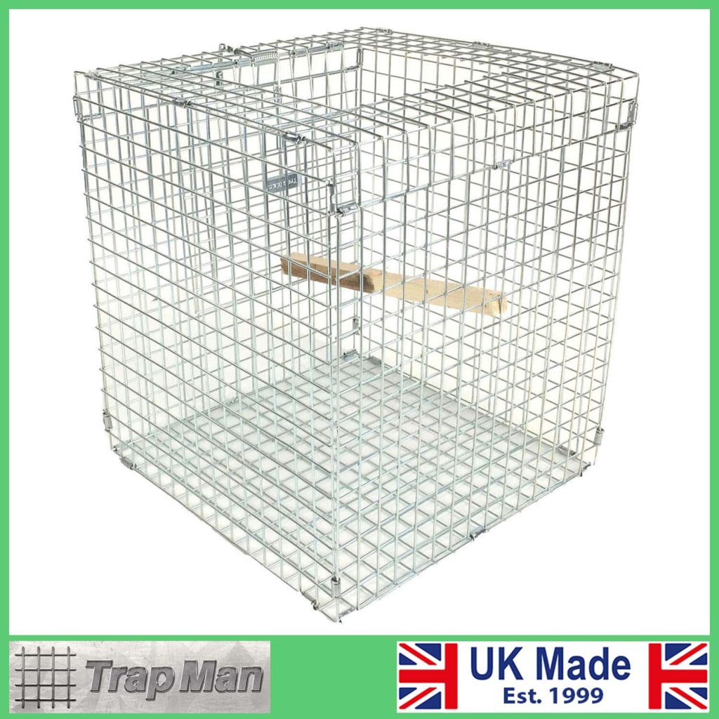 How to catch crows and magpies legally using a top entry twin capture ...