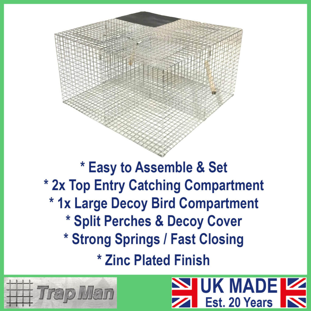 How to catch crows and magpies legally using a top entry twin capture ...