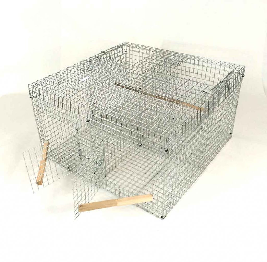 These crow traps are particularly effective in catching crows, jays ...