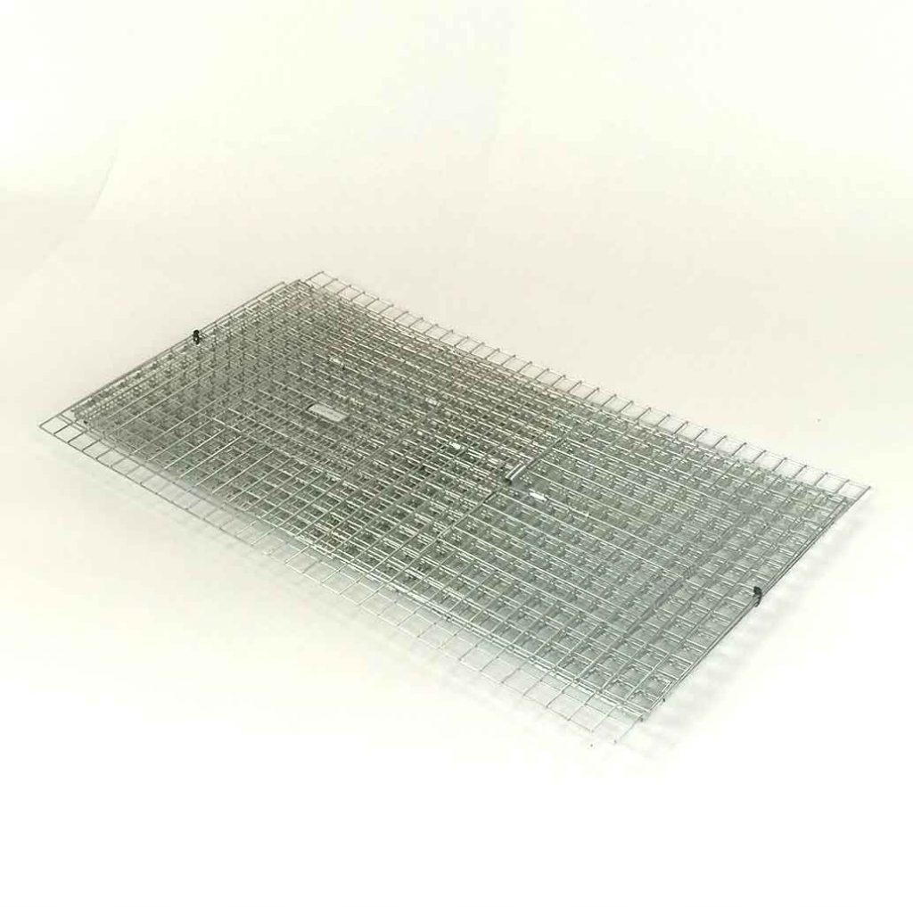 The TrapMan clam Larsen trap suited to magpies, its name come from the ...