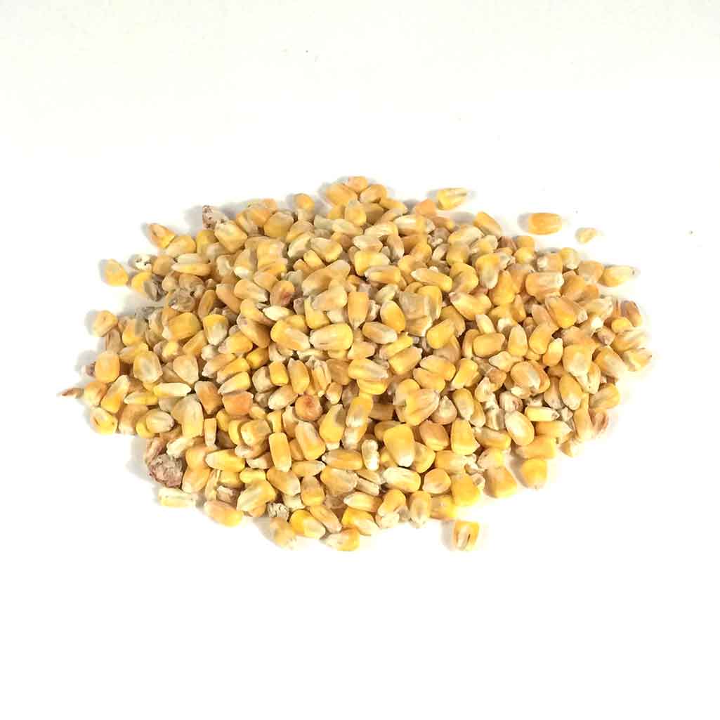 Whole yellow maize trapping bait - Mobile Friendly TrapMan/Store