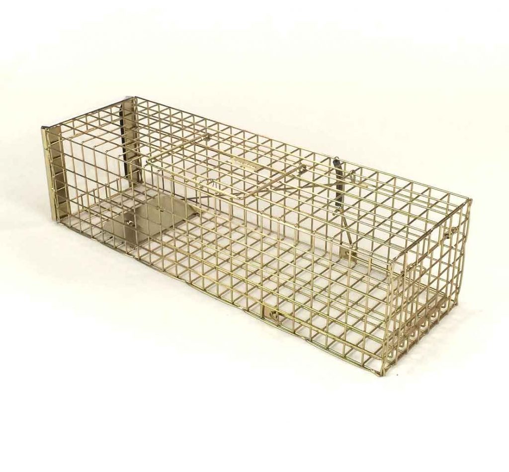 Humane Squirrel Trap be sure you thoroughly understand the squirrel trap