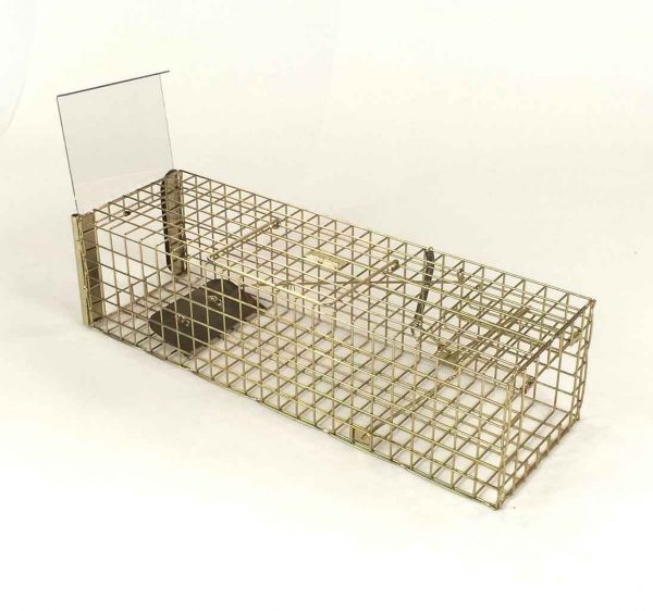 Humane Squirrel Trap be sure you thoroughly understand the squirrel trap